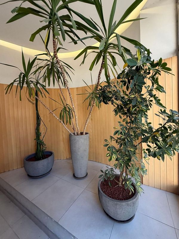 Piso en venta en San José, Zaragoza · 111583853 - yaencontre