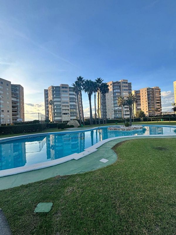 Venta de piso en Palmeral - Urbanova - Tabarca, Alicante · 109918223 ...