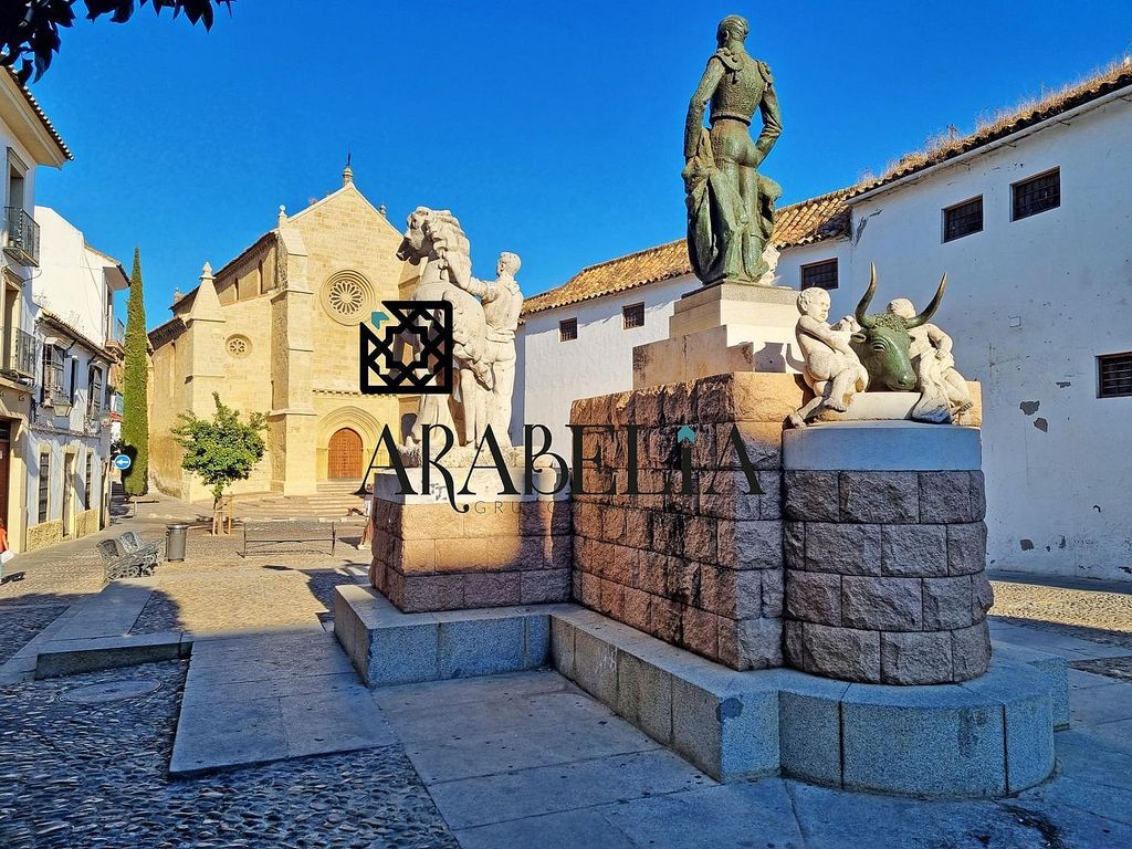 Venta de chalet en Sta. Marina - San Andrés - San Pablo - San Lorenzo ...