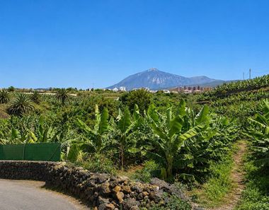 Casas rurales en venta en San Felipe-San Marcos-Las Cañas, Icod de los ...