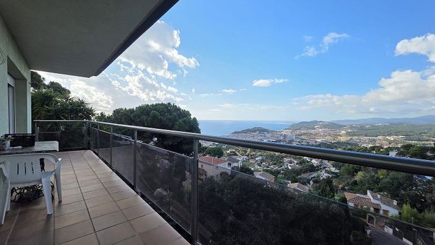 Casa en venta en Roca Grossa - Serra Brava, Lloret de Mar · 110231273 ...