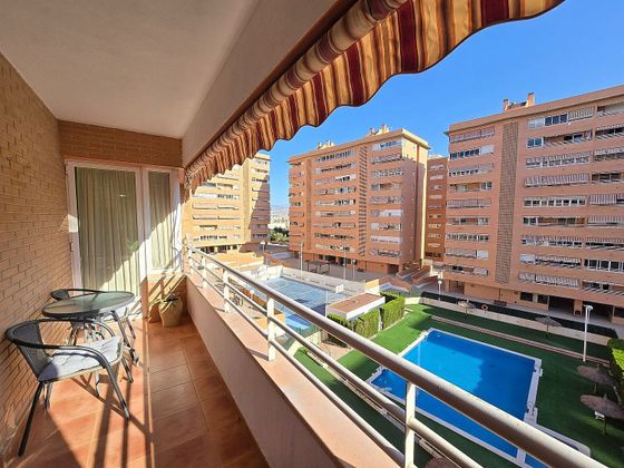 Alquiler de temporada de piso en Palmeral - Urbanova - Tabarca ...