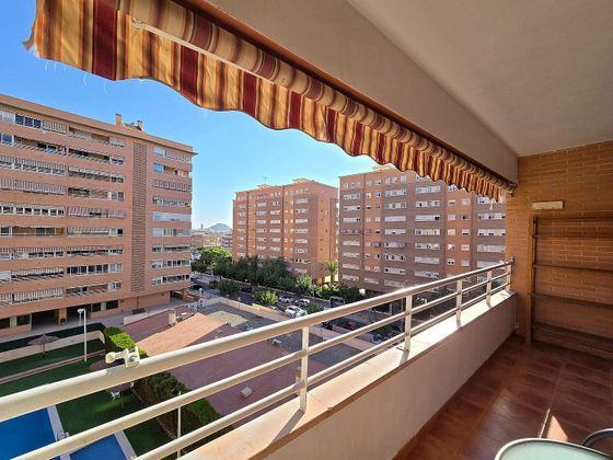 Alquiler de temporada de piso en Palmeral - Urbanova - Tabarca ...