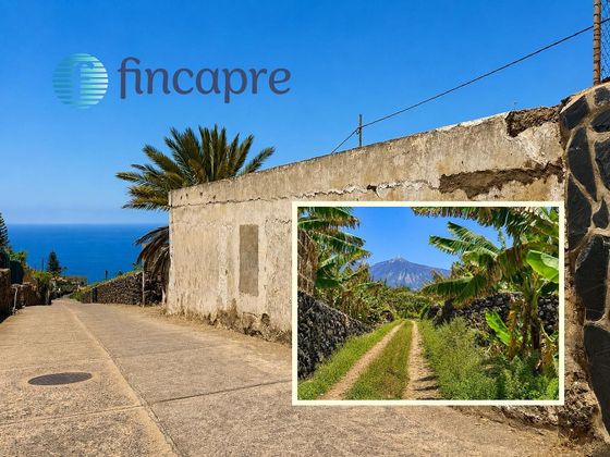 Casas rurales en venta en San Felipe-San Marcos-Las Cañas, Icod de los ...